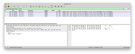 The Blue Dragon Meets The Wires Shark · Zenoh Pub Sub Geo