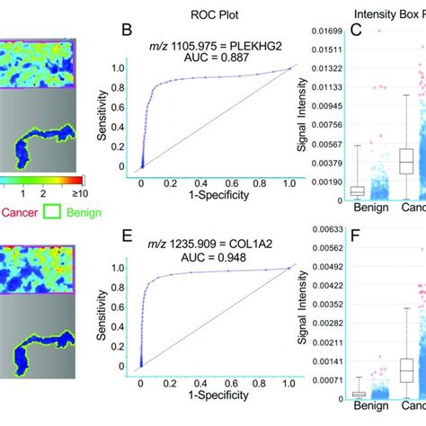 Pbmc Isolation Protocol Download Scientific Diagram Pbmc Isolation Protocol Download Scientific Diagram