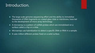 DNA Microarray Ppt PPTX Biological Sciences Science
