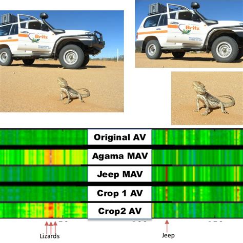 Openmax Also Predict Failure During Training As In This Download