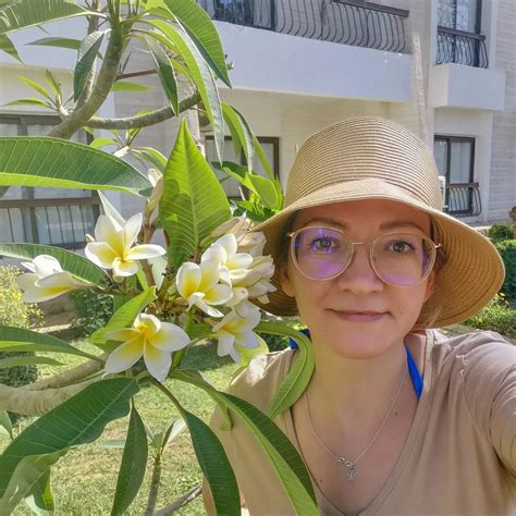 Плюмерия – описание, уход в домашних условиях, виды