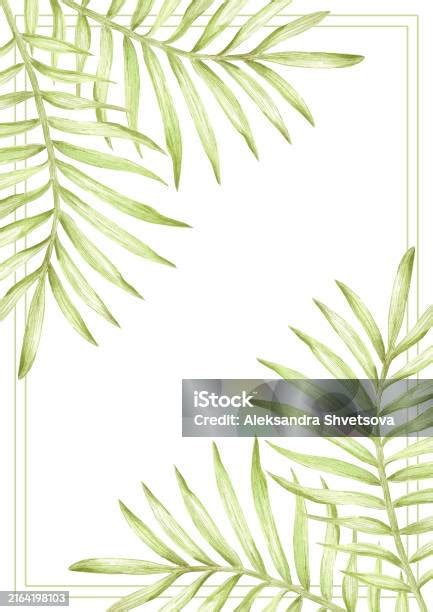 손으로 그린 수채화 녹색 야자수 나무 잎 엽서 프레임 테두리 흰색 배경에 고립되어 있습니다 카드 초대장 스크랩북 및 기타 인쇄 제품에 사용할 수 있습니다 0명에 대한 스톡