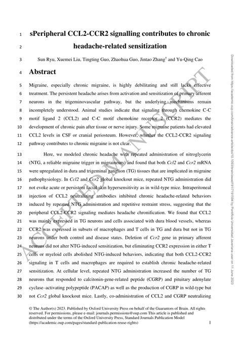 Pdf Peripheral Ccl2 Ccr2 Signalling Contributes To Chronic Headache Related Sensitization