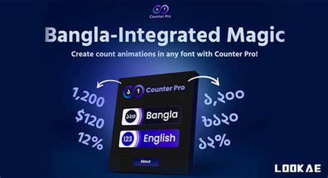 Ae脚本 动态计数器动画生成器 Counter Pro V10