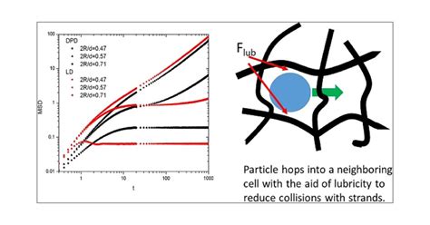 Dissipative Particle Dynamics Simulation Of Nanoparticle Diffusion In A