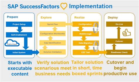 SAP Implementation Rollout SAP Application Services Dynamo Infotech