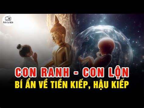 Gi I M Hi N T Ng Con Ranh Con L N B N Nghi P Ch Ng Nhi U I Youtube