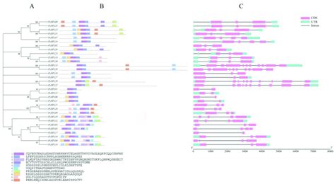 alignment and conserved domains logo of conserved domains sequence of