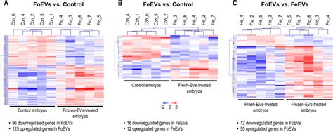 Comparative Transcriptome Analysis Of Embryos Cultured In Vitro Under