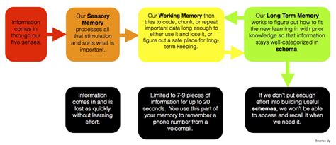 Executive Function And Learning 101 Smarten Up