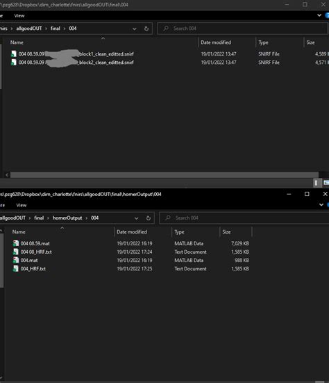 Second Run Replaced By First Run In Procstreamoutput Homer3 And