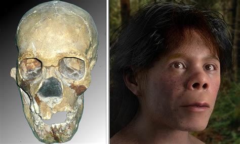 Neanderthal Man Skull