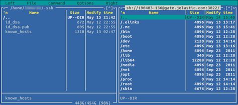 SFTP And FISH Protocols For Accessing Jelastic Containers Via SSH Virtuozzo Blog