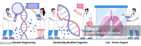 Rekayasa Genetika Organisme Yang Dimodifikasi Secara Genetik Konsep Organ Yang Tumbuh Di