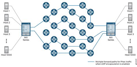 IPsec Overview Juniper Networks