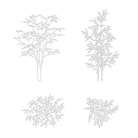 free plants dwg cad blocks in plan and elevation cadnature