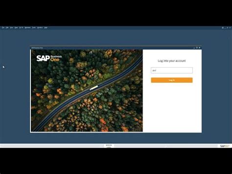 Introducing Identity And Authentication Management SAP Community