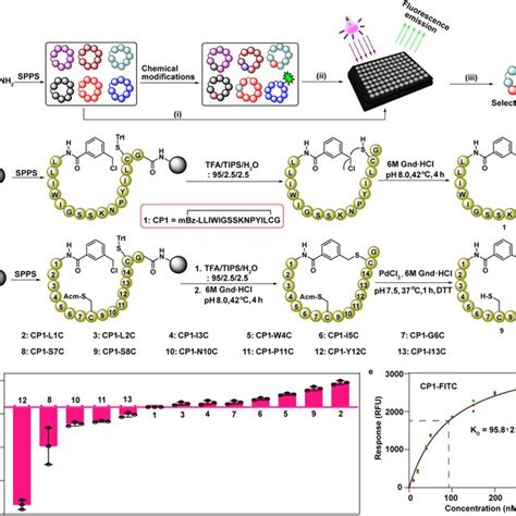 Chemical Synthesis Of Cyclic Peptide Analogue Of 1 And Their Affinity