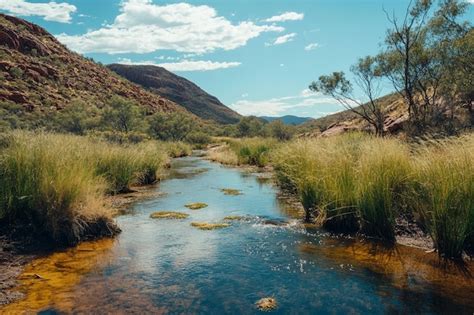 Monitoring Scrubland Ecosystem Water Cycles Ar Generative Ai Premium