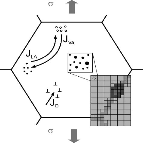 Schematic Representation Of The Microstructural Modelling Approach Download Scientific Diagram