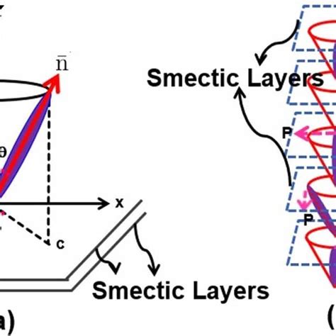 Schematic Of A Basic Geometry Of The Chiral Smectic C Phase Sm C