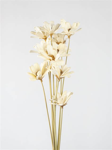 Квітка з шоли ромашка бежева купити в Україні за низькою ціною • Dfb Elements