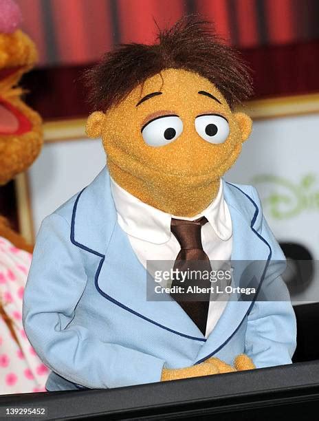 Walter (Muppet) Photos and Premium High Res Pictures - Getty Images