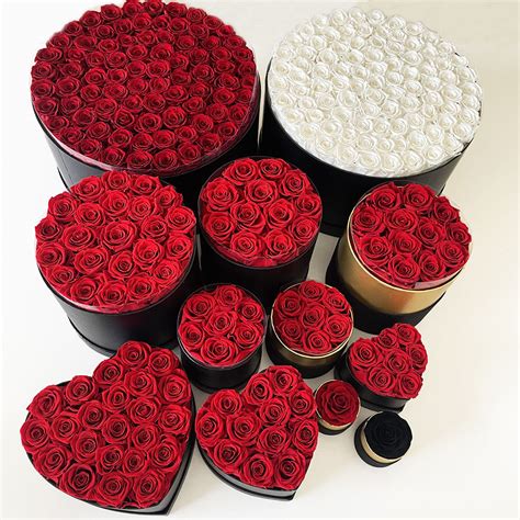 How To Choose The Best Alina Rose Product A Complete Buying Guide