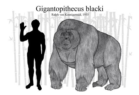 Gigantopithecus Blacki Updated By Paleonerd01 On Deviantart