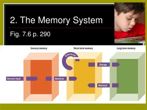 PPT Chapter Memory PowerPoint Presentation Free Download ID