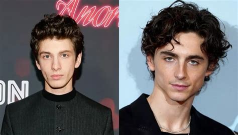 Timothee Chalamets Look Alike Break Silence On Comparisons