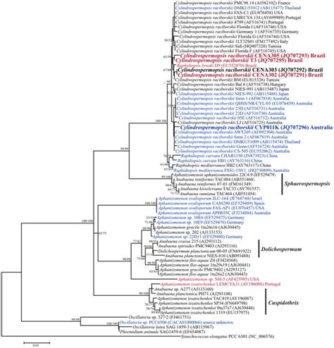 Bootstrap Test 1000 Resamplings Was Performed And Values 50 For Ml Download Scientific