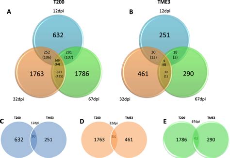 Venn Diagrams Showing The Differential Distribution Of Up Regulated