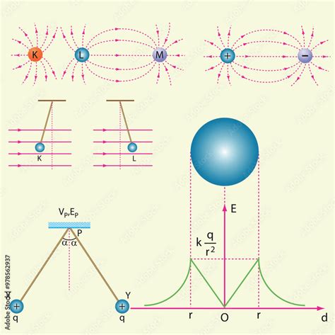 Optics Reflection Lesson Forms Light Reflection Infographic Diagram With Example Of Light