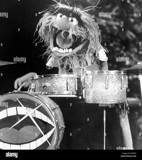 The Muppet Show Animal Of The Dr Teeth And The Electric Mayhem Band