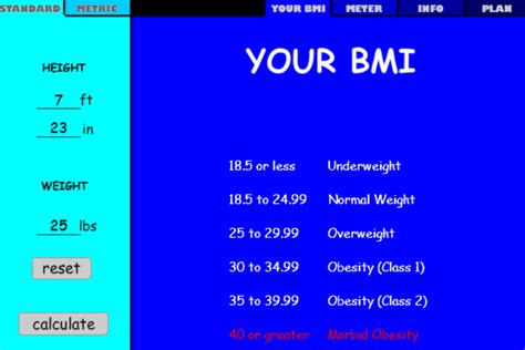 Body Mass Index Calculato Play Online On Flash Museum 🕹️