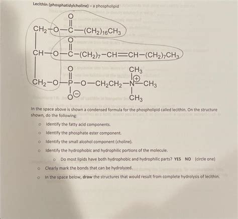 Solved Lecithin Phosphatidylcholine A Ohosoholinid In