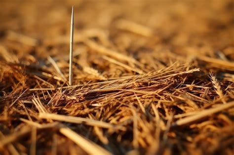 Premium Ai Image Easy To Find Needle Opposite Of Haystack