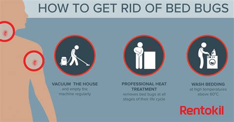 Bed Bug Bites All You Need To Know Pest Control Blog