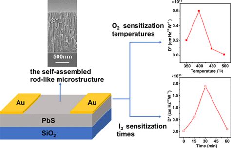 Wafer Scale High Detectivity Near Infrared Pbs Detectors Fabricated From Vapor Phase Deposition