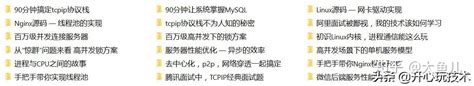 Tcp与udp差异对比分析 知乎
