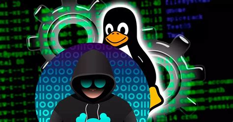 The Importance Of Updating Very Serious Security Flaw In Android And Linux Itigic