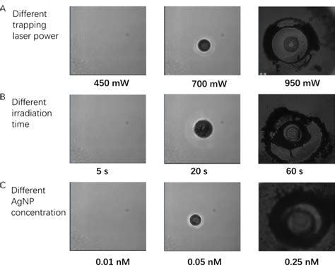 Optical Trapping Of Plasmonic Nanoparticles For In Situ Surface