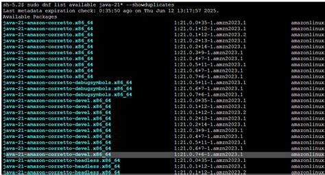 【aws22】apache、tomcat、javaをインストールしてみる しっぱいはせいこうのもと