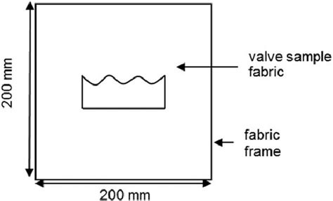 Schematic Representation Of The Sample Positioning Download
