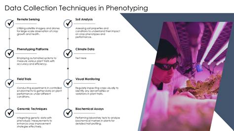 Data Collection Techniques In Phenotyping Crop Phenotyping PPT Example ST AI SS PPT Example