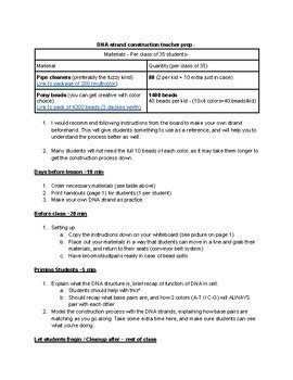 DNA Modeling Activity Simple By Science For Dummies TPT