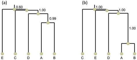 clustering of the five editing sites using jaccard distance in a