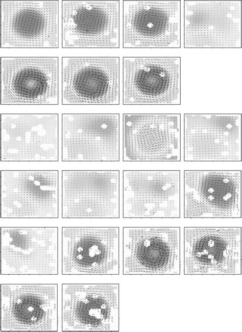 velocity and streamfunction fields at the density step forced by the