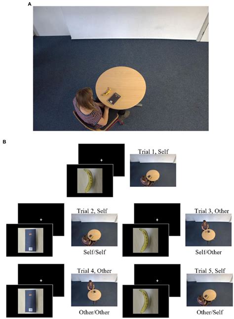 a a example of level 2 spatial perspective taking b the trial
